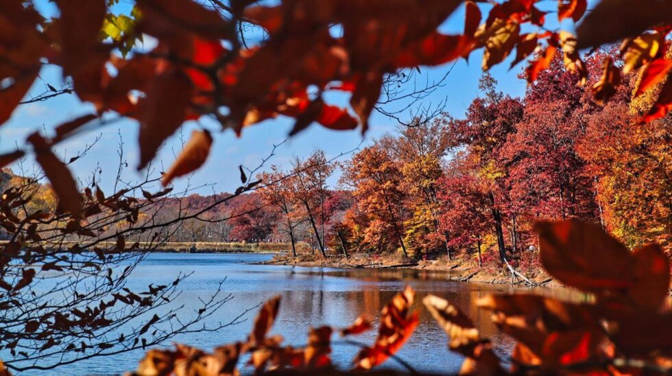 Brown County Leaf Cam - Brown County Indiana