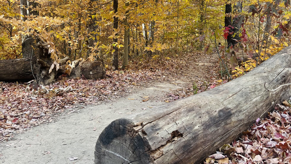 Hiking Is for Everyone: Our 10 Favorite Trails in Brown County - Brown ...